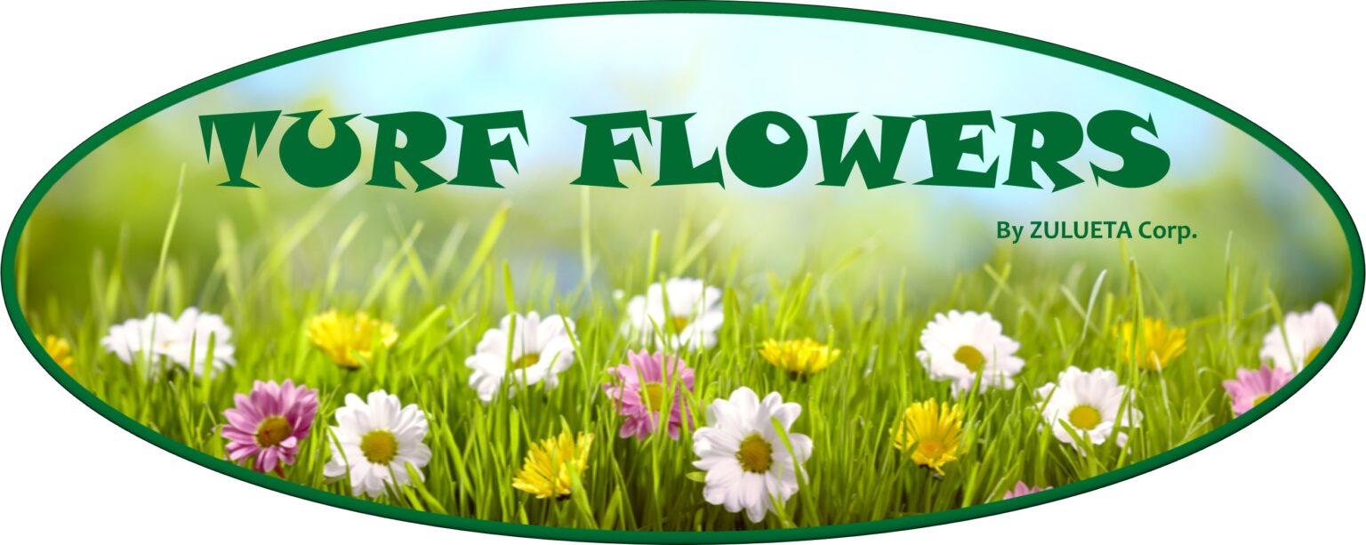 Césped con flores y pradera florida, diferencias - Zulueta Corporación