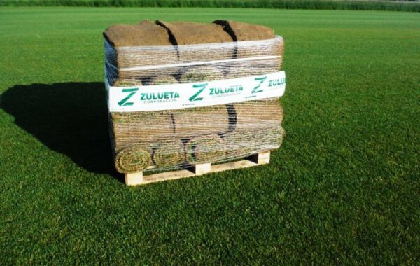 Tepes de césped natural en rollos. Tu césped al instante